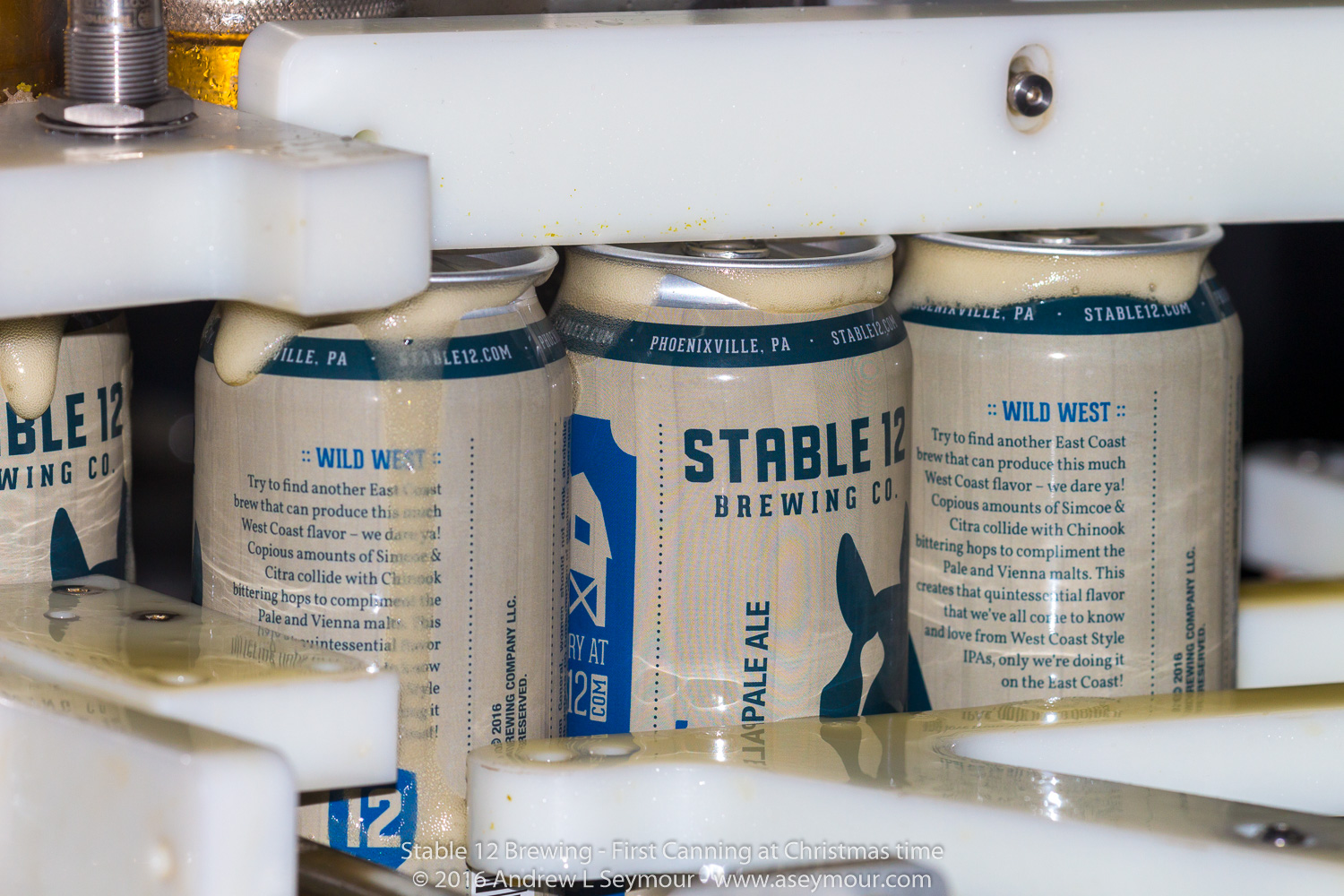 Stable 12 Brewing Company | Seymour Digital Consulting, LLC