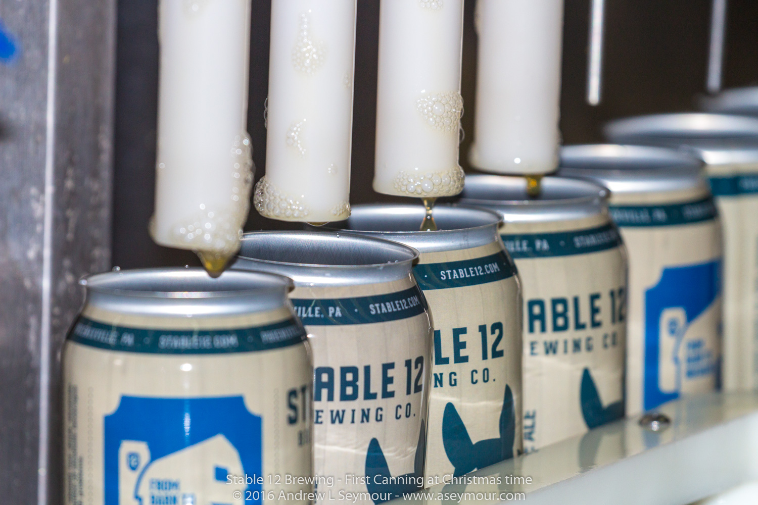 Stable 12 Brewing Company | Seymour Digital Consulting, LLC